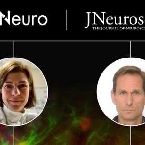 PhD Program in Computational Neuroscience | The University of Chicago